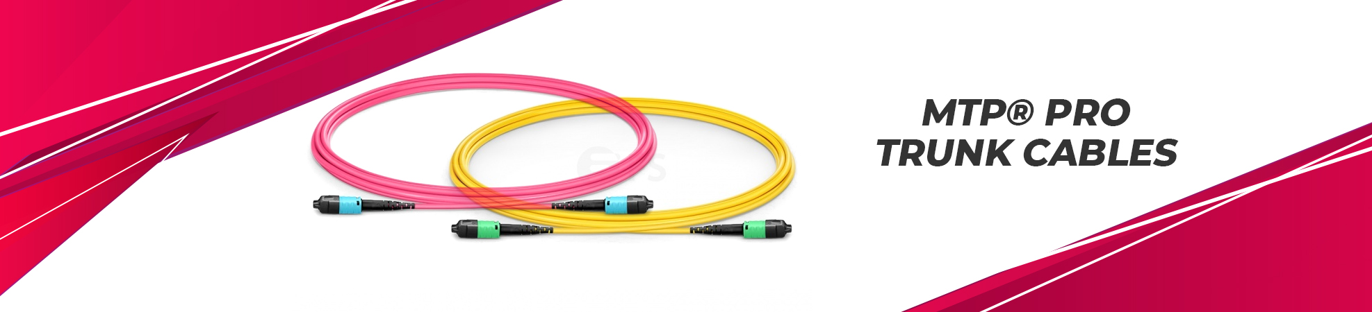 Get the Best Deals for MTP PRO Trunk Cables in Dubai, UAE- ithub.ae